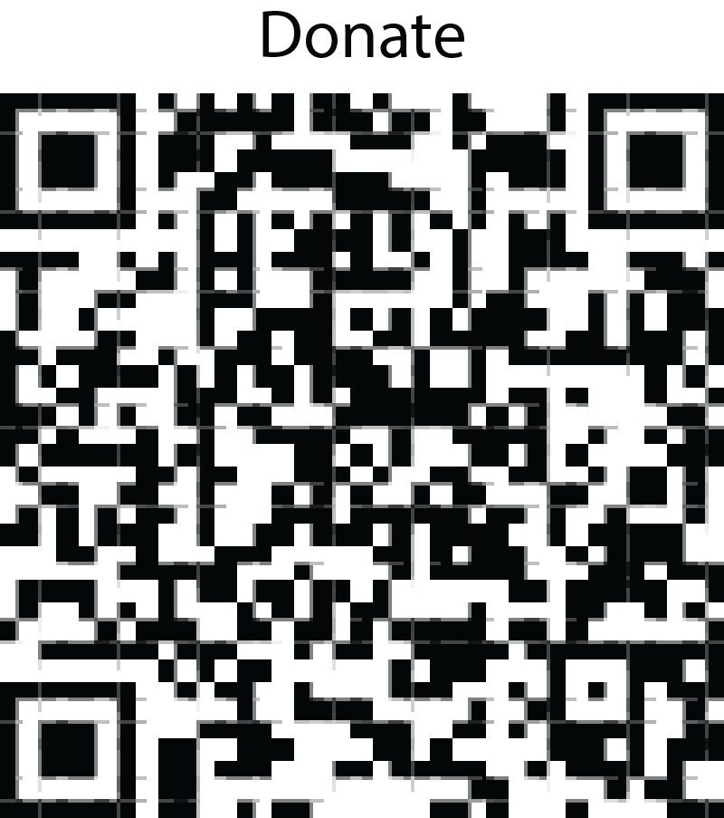 Healing – Laughing Pony Rescue